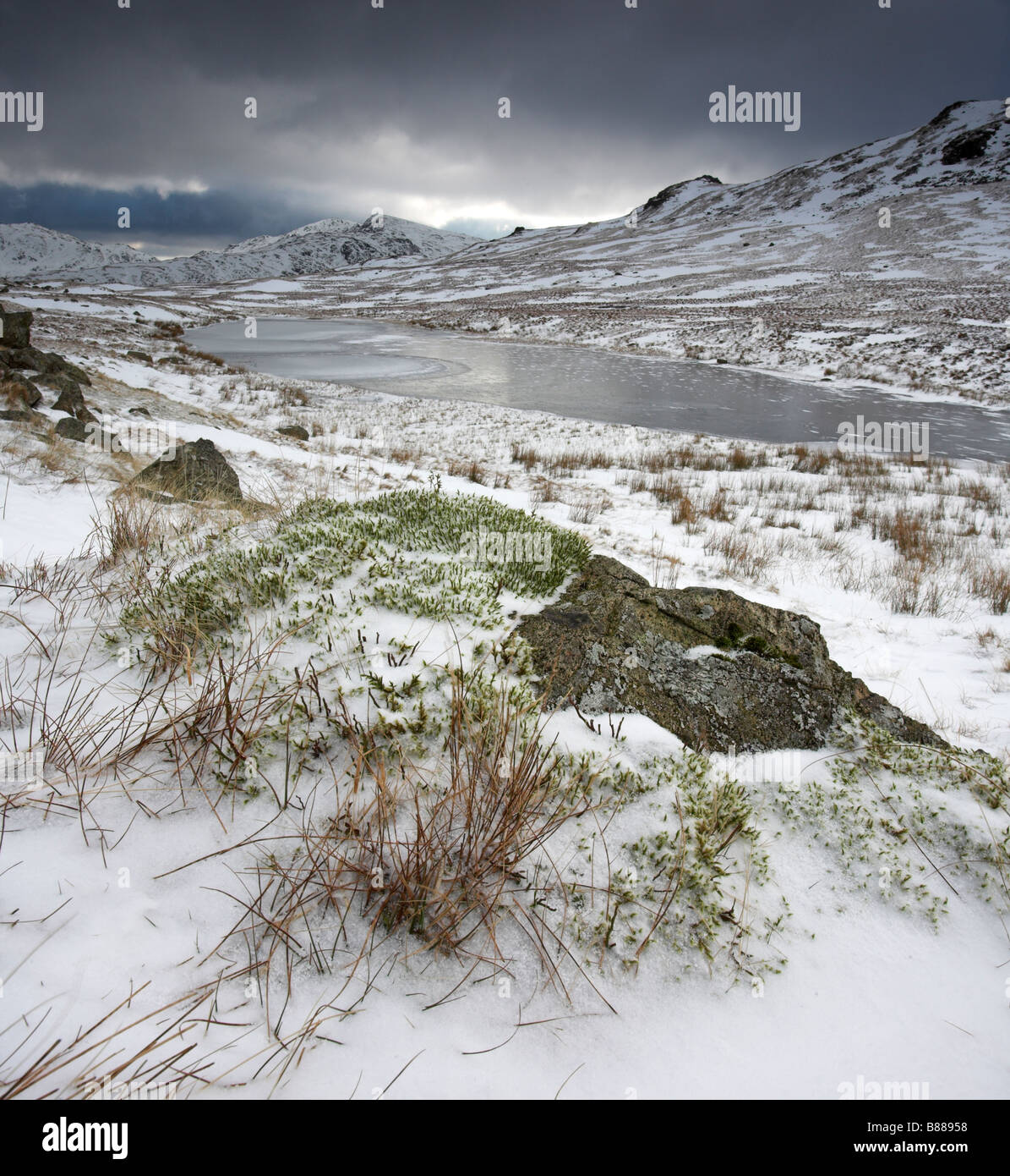 Frozen 'Red Tarn' a Lakeland Tarn high in The Langdale Pikes, Great ...