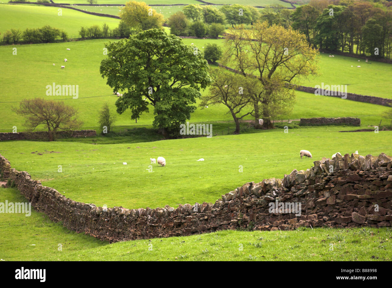 Typical yorkshire hi-res stock photography and images - Alamy
