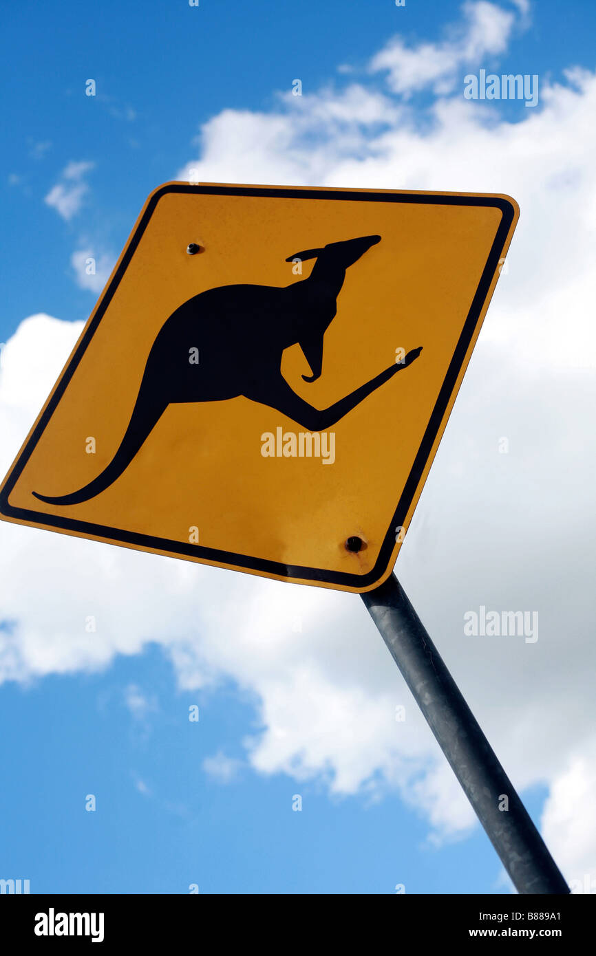 Kangaroo Road sign australia Stock Photo - Alamy
