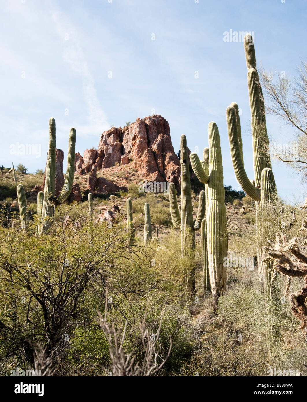 Arizona desert scenery hi-res stock photography and images - Alamy