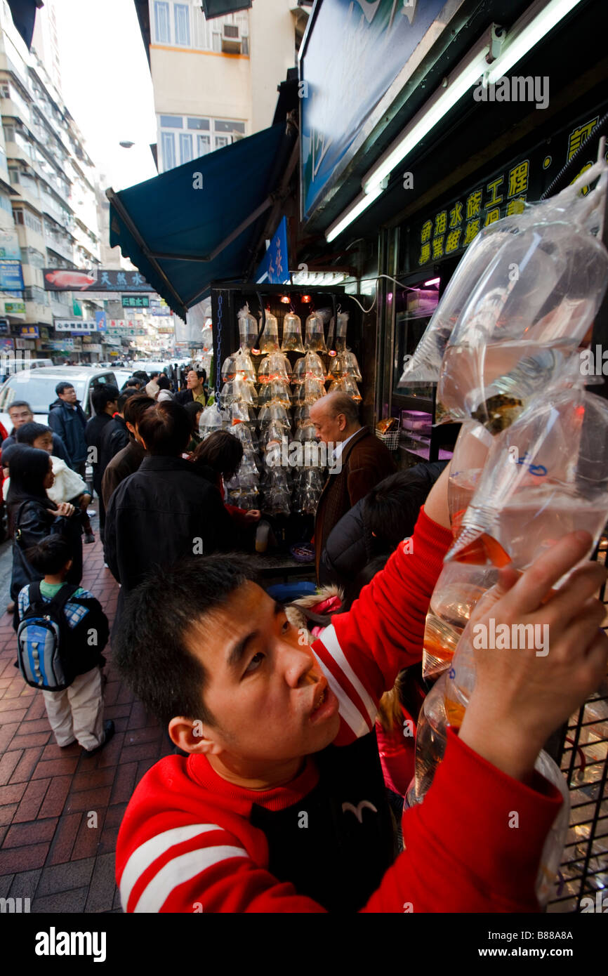 Tung Choi Street [otherwise known as "Fish Street"] is located in ...