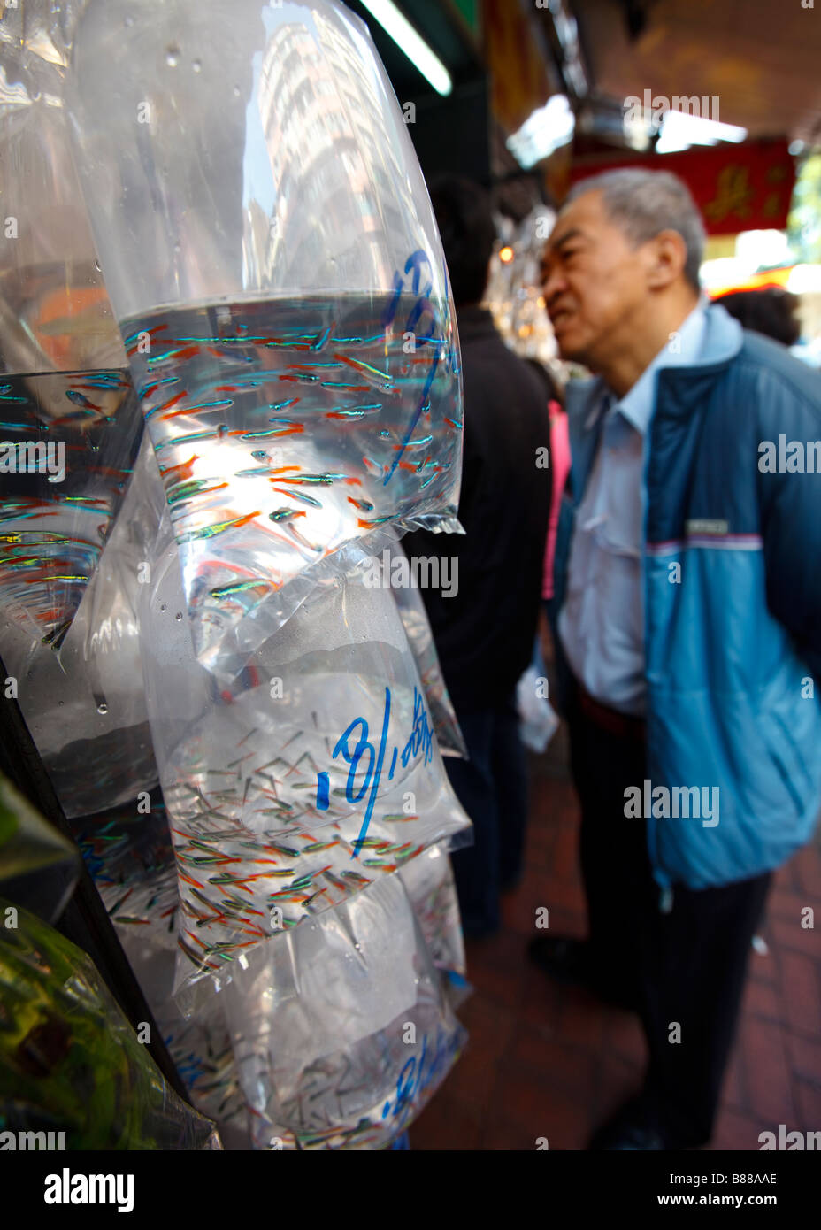 Tung Choi Street [otherwise known as "Fish Street"] is located in ...