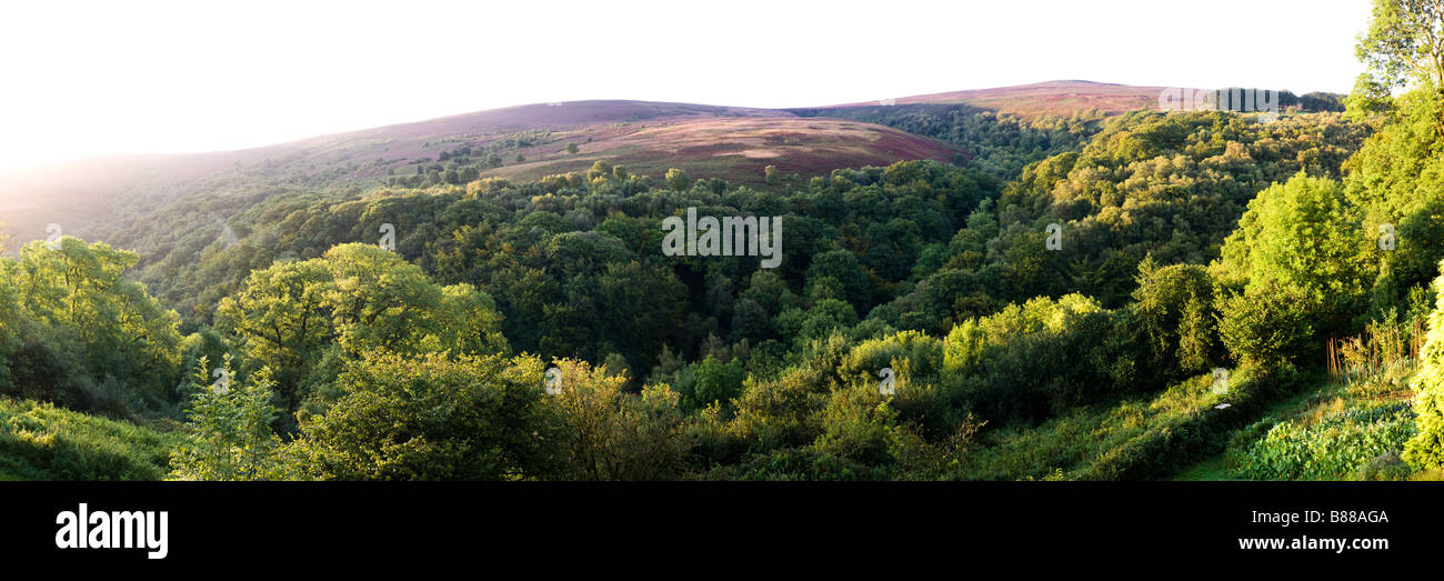 Dunkery beacon hi-res stock photography and images - Alamy