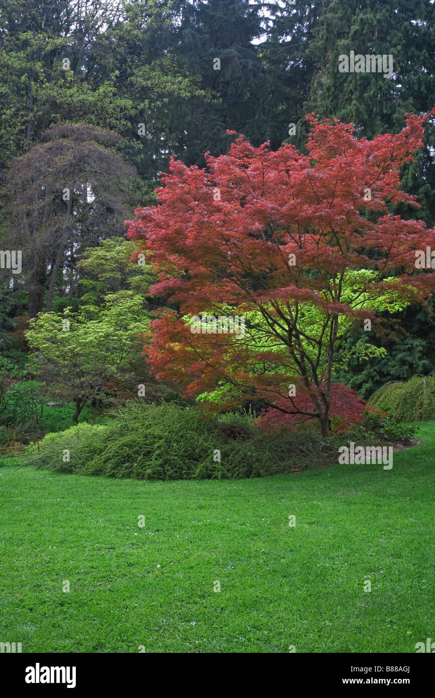Wa seattle washington park arboretum hi-res stock photography and ...