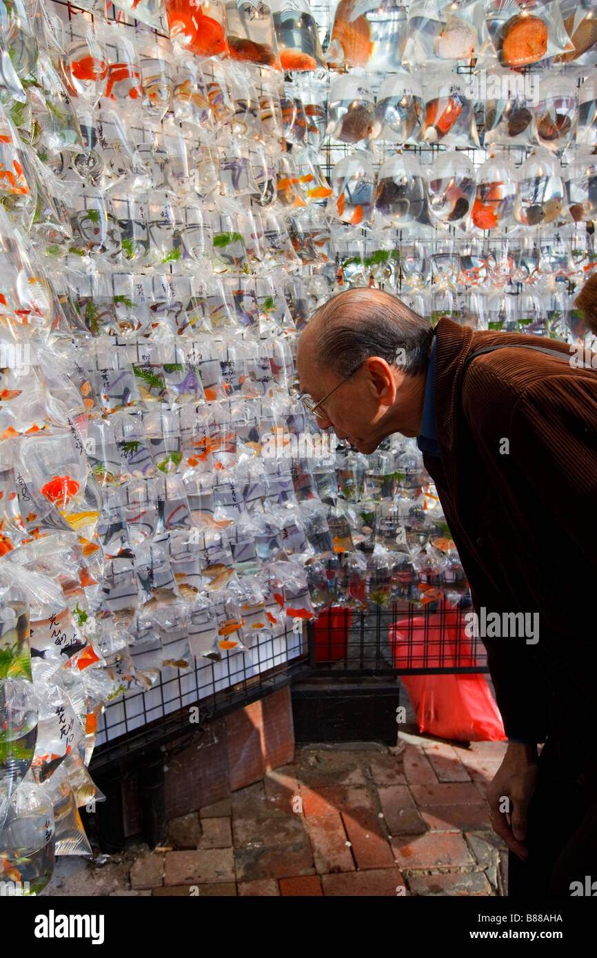 Tung Choi Street [otherwise known as "Fish Street"] is located in ...