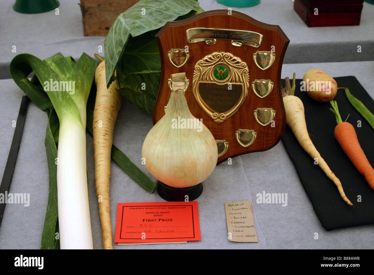 Prize award hi-res stock photography and images - Alamy