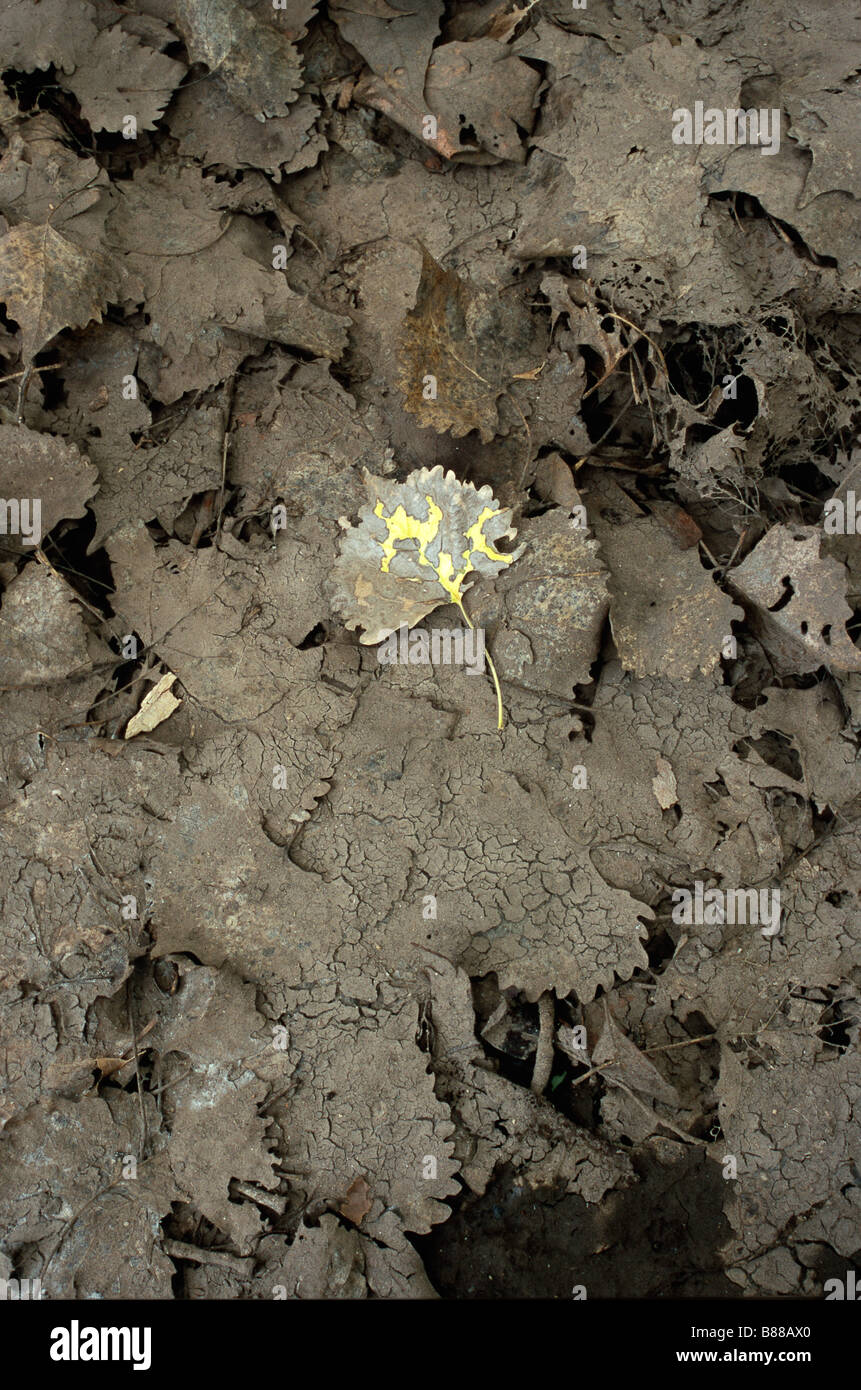 Bull pen campground hi-res stock photography and images - Alamy