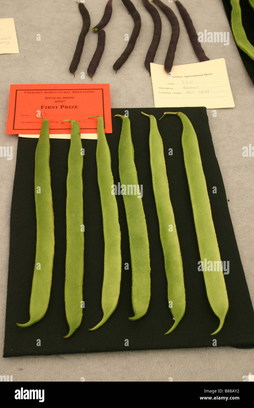 Prize display hi-res stock photography and images - Alamy