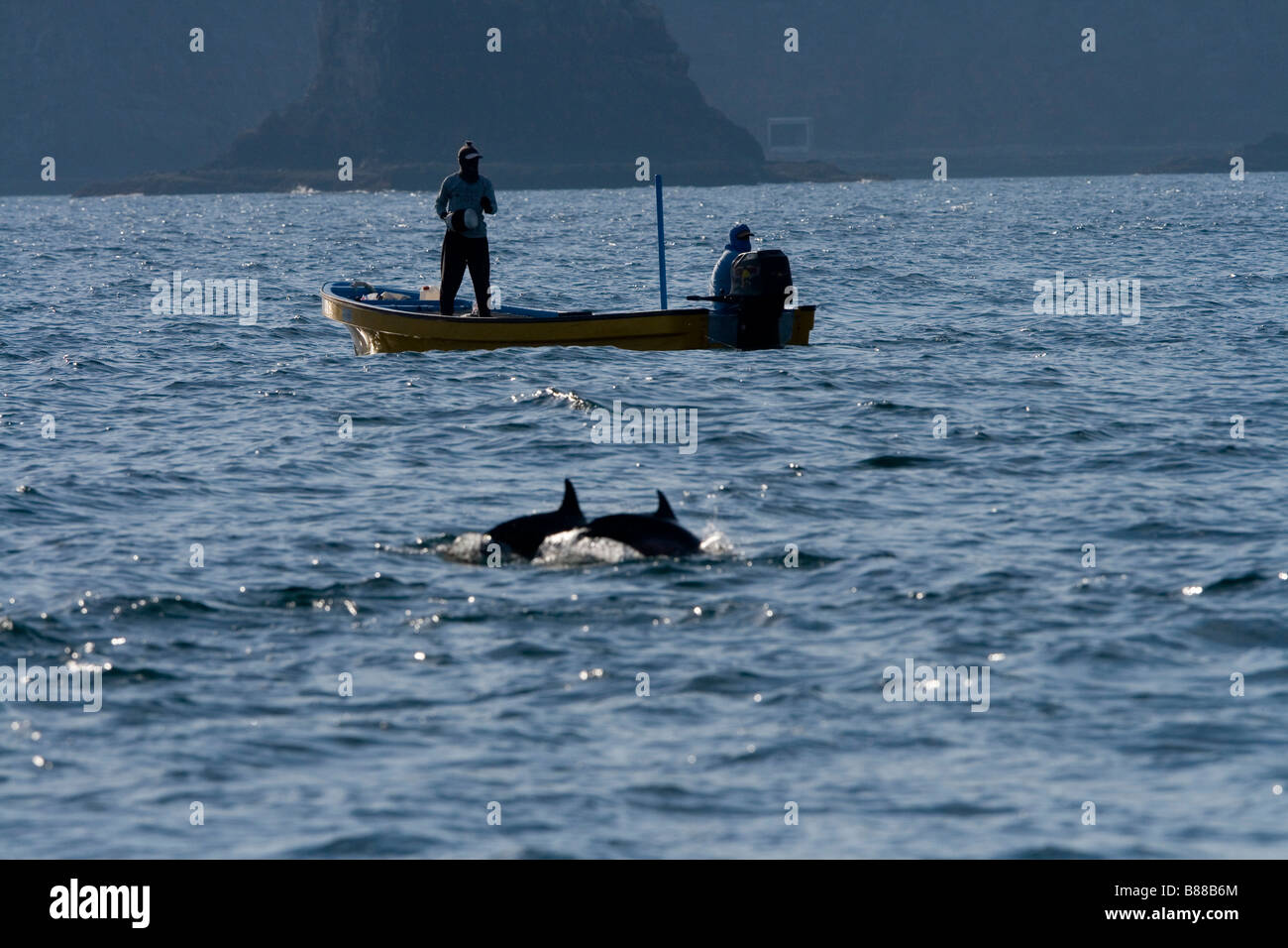 Arabian sea dolphins hi-res stock photography and images - Alamy