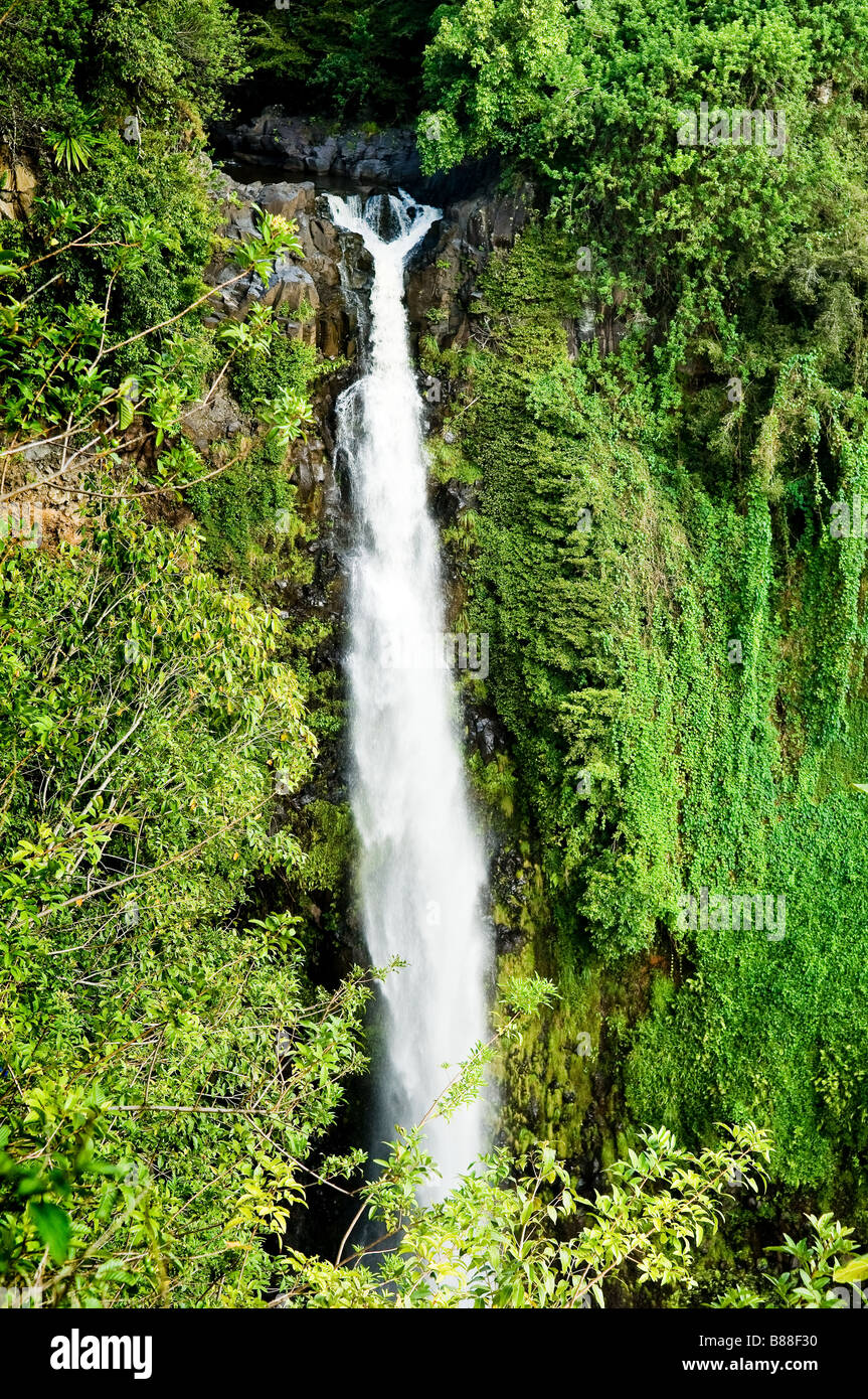 Hiking pipiwai trail hi-res stock photography and images - Alamy