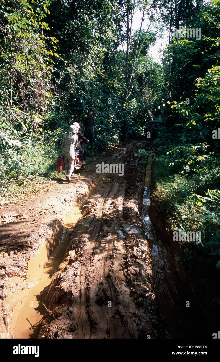 Mud ruts hi-res stock photography and images - Alamy