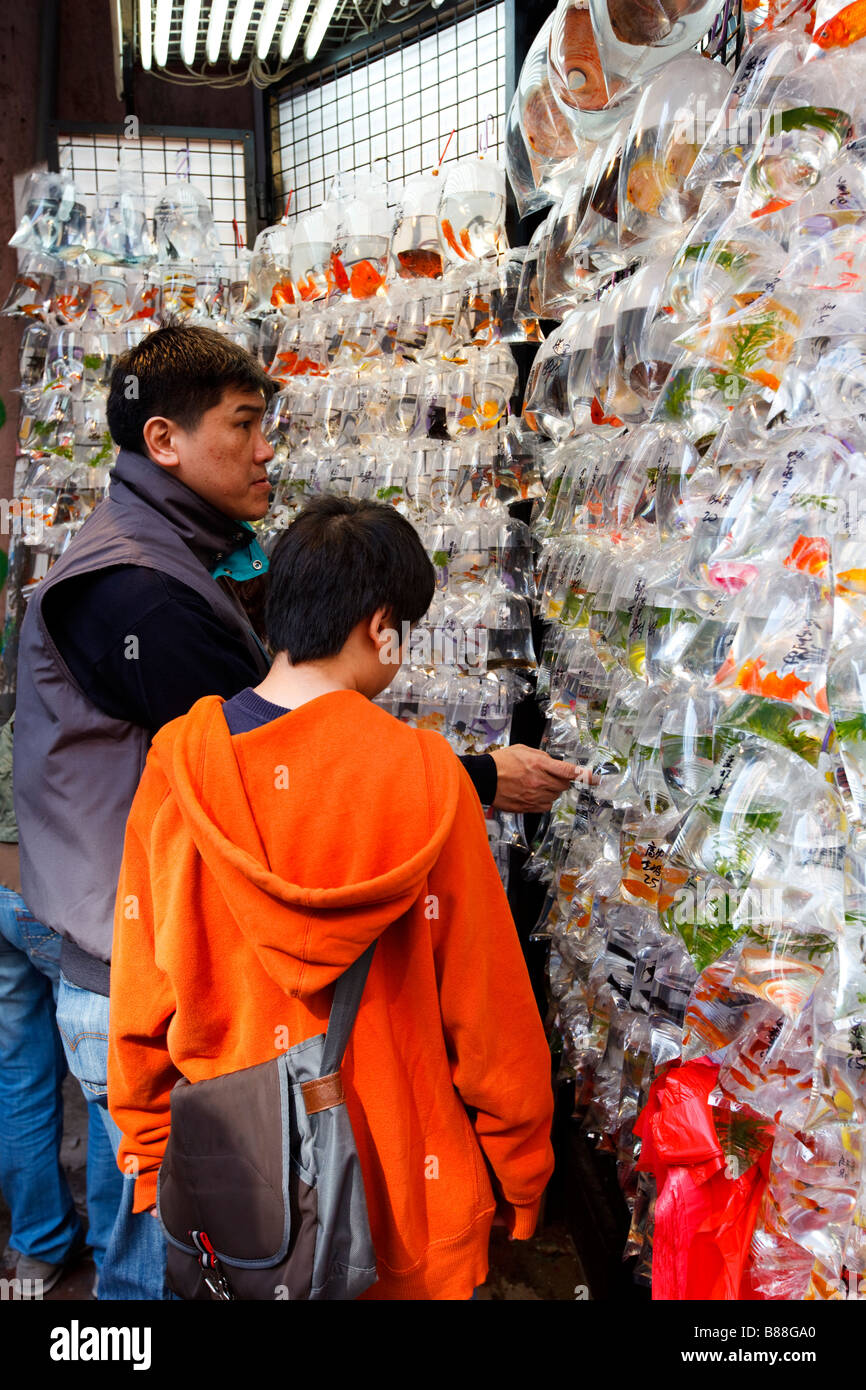 Tung Choi Street [otherwise known as "Fish Street"] is located in ...