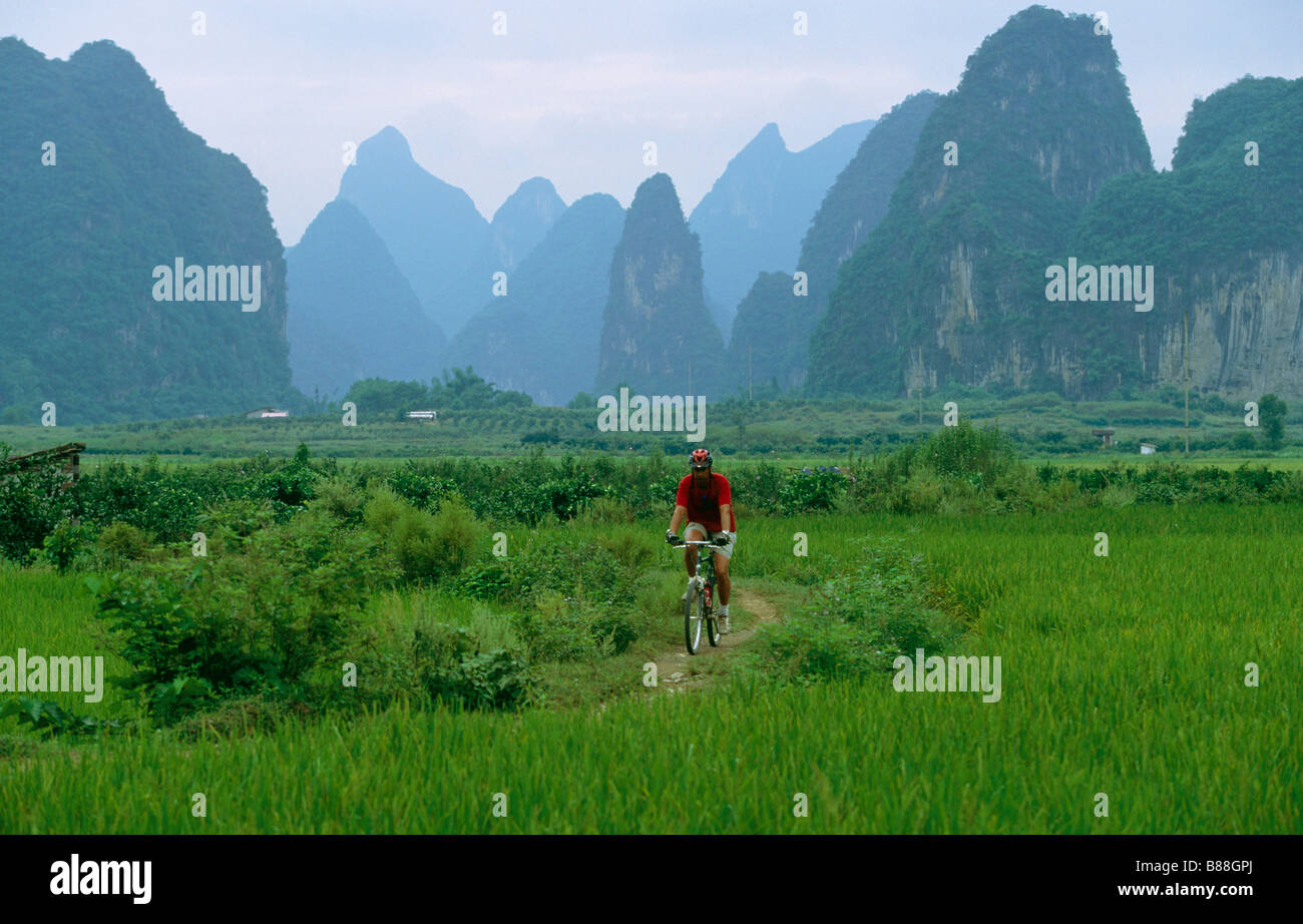 Li River Rice paddy fields Path Man on mountain bike bicycle Limestone ...