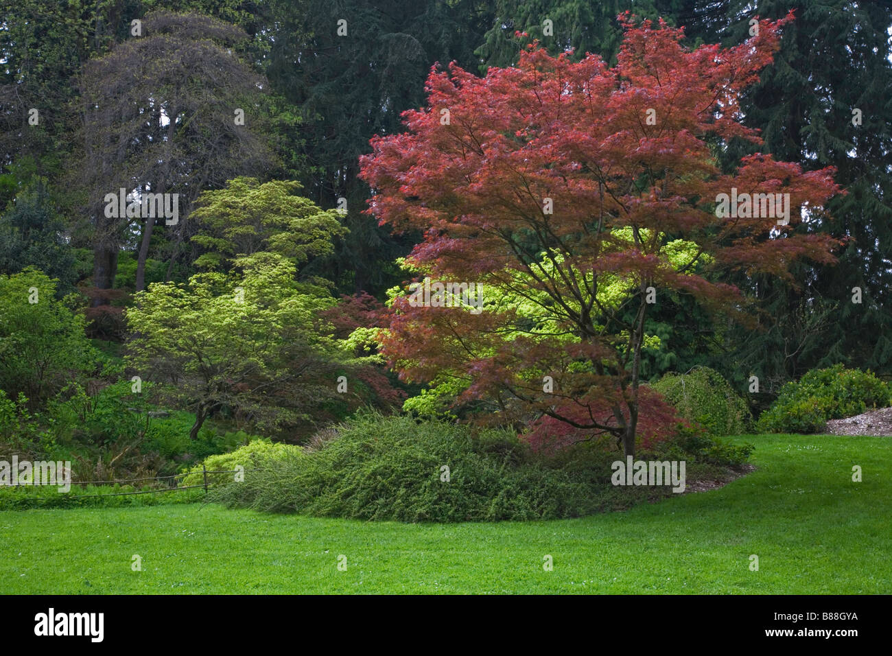 Lawn edge hi-res stock photography and images - Alamy
