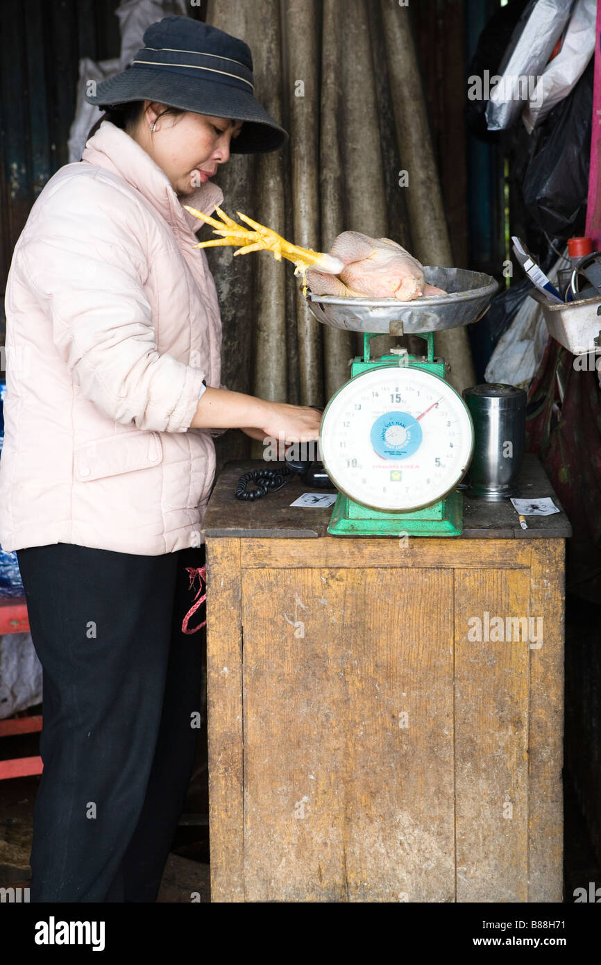 Woman with goose hi-res stock photography and images - Alamy
