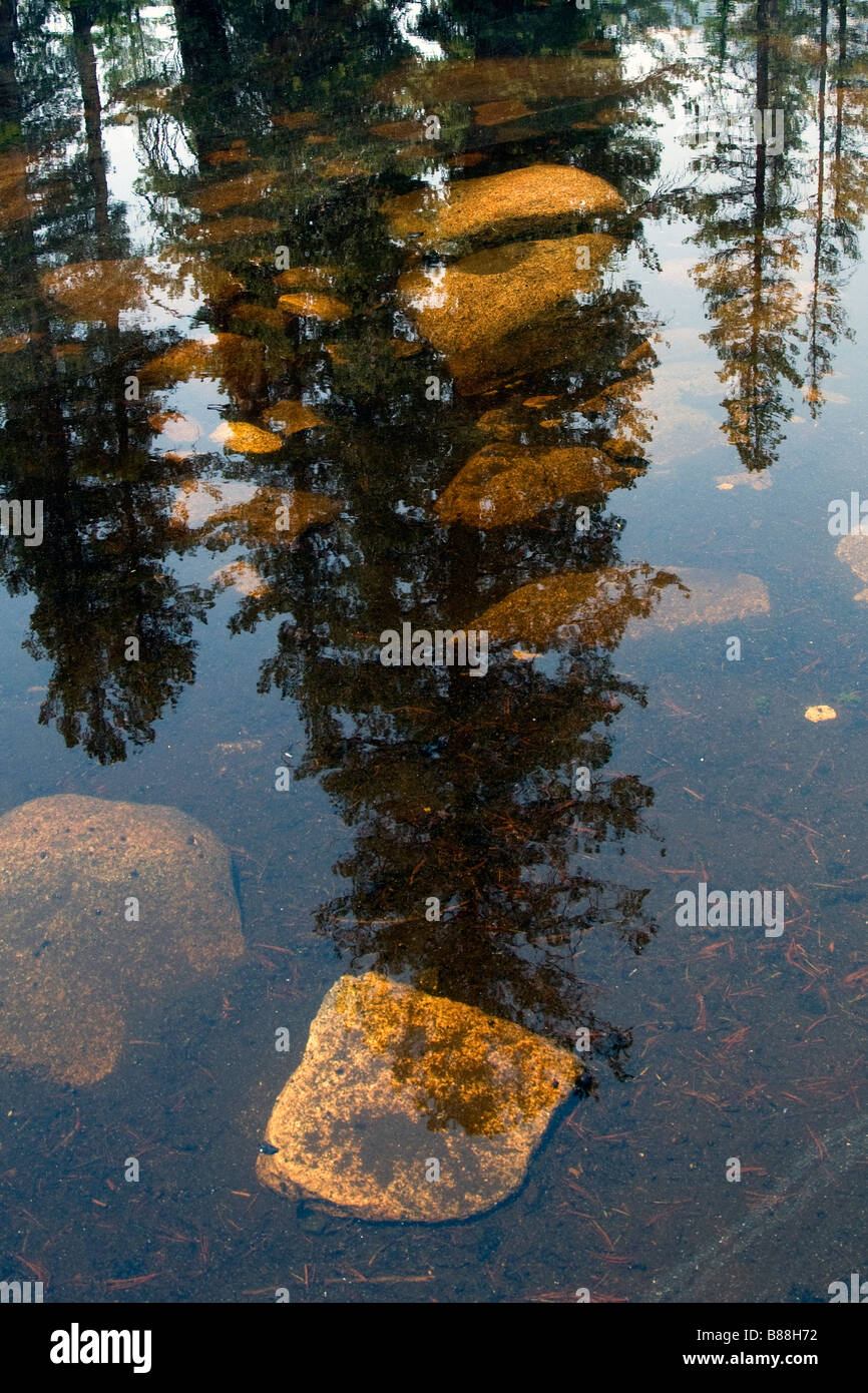 Sequoia sightseeing hi-res stock photography and images - Alamy