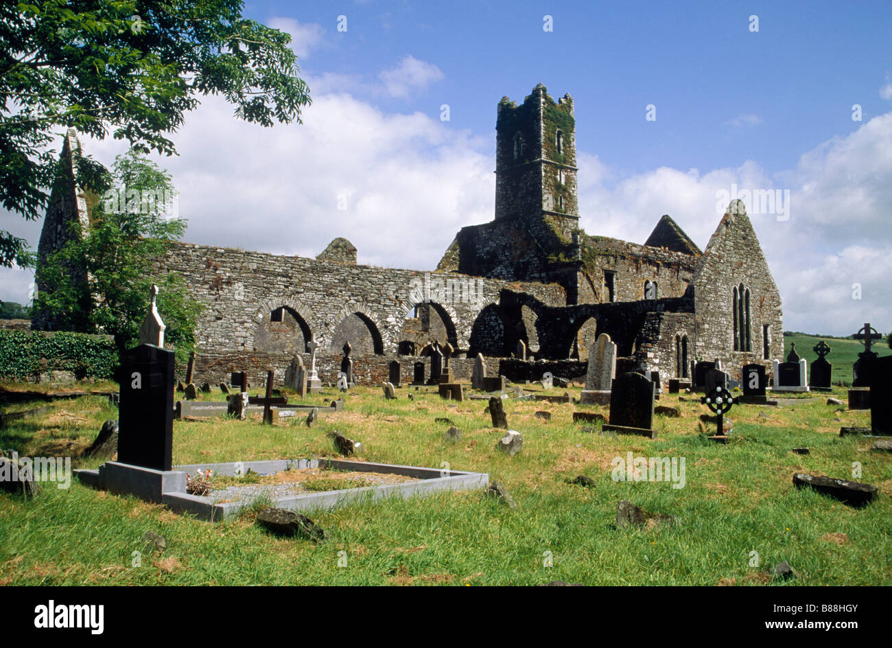 Timoleague friary hi-res stock photography and images - Alamy
