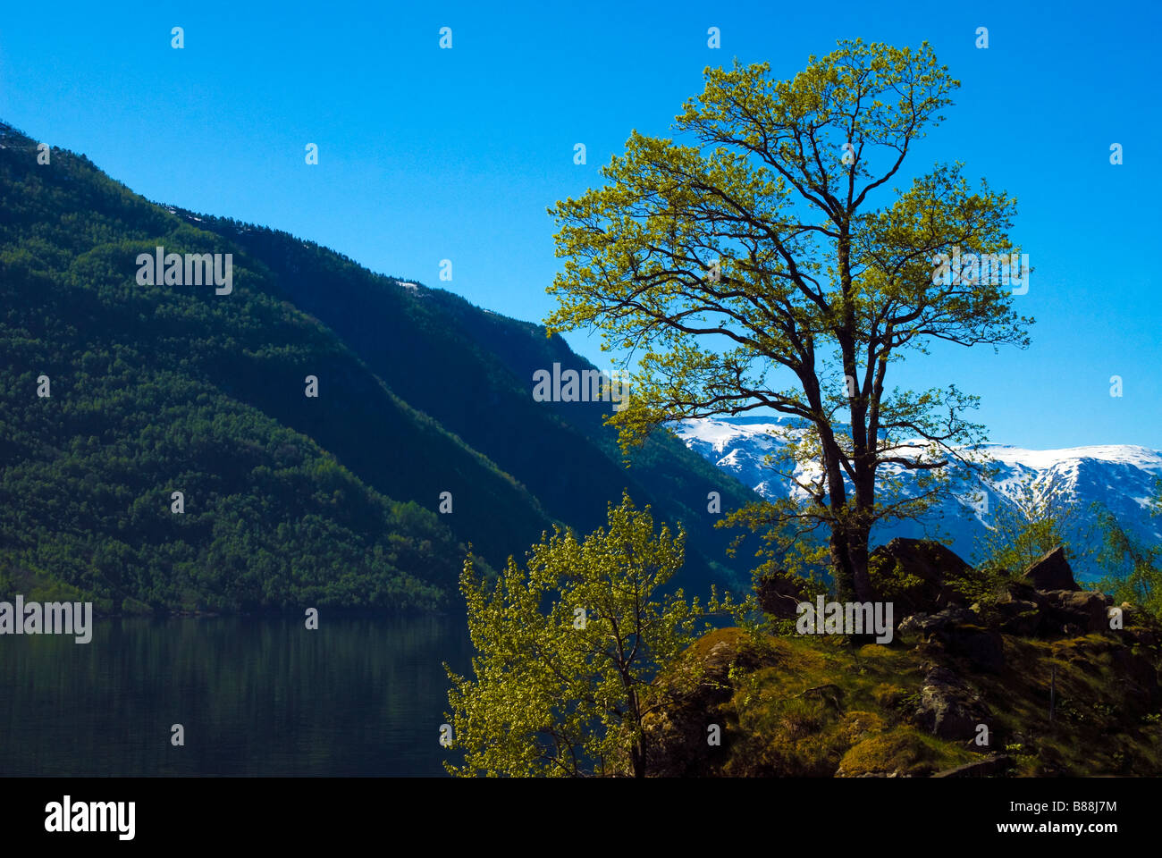 Norway spring fjord hi-res stock photography and images - Alamy