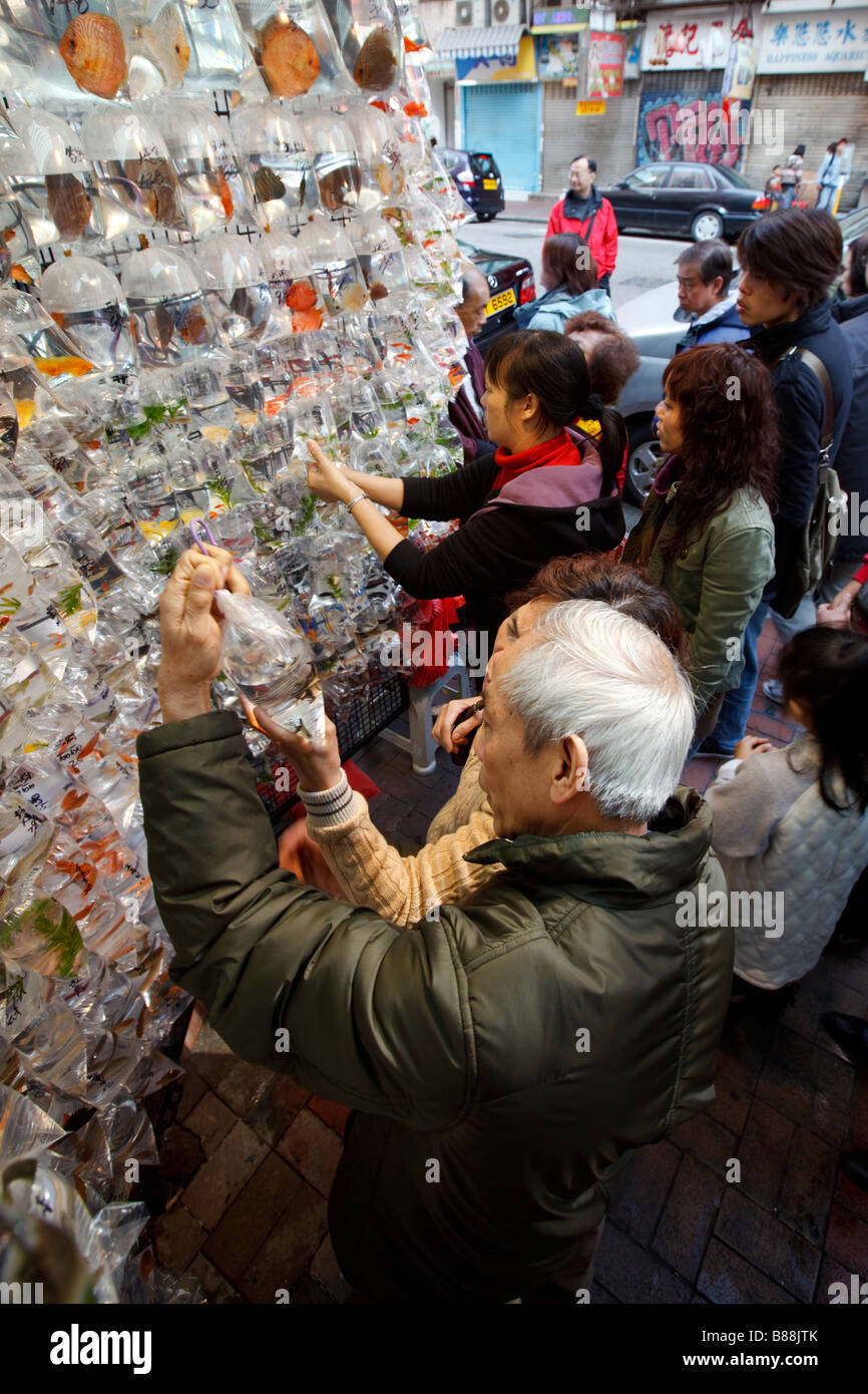 Tung Choi Street [otherwise known as "Fish Street"] is located in ...