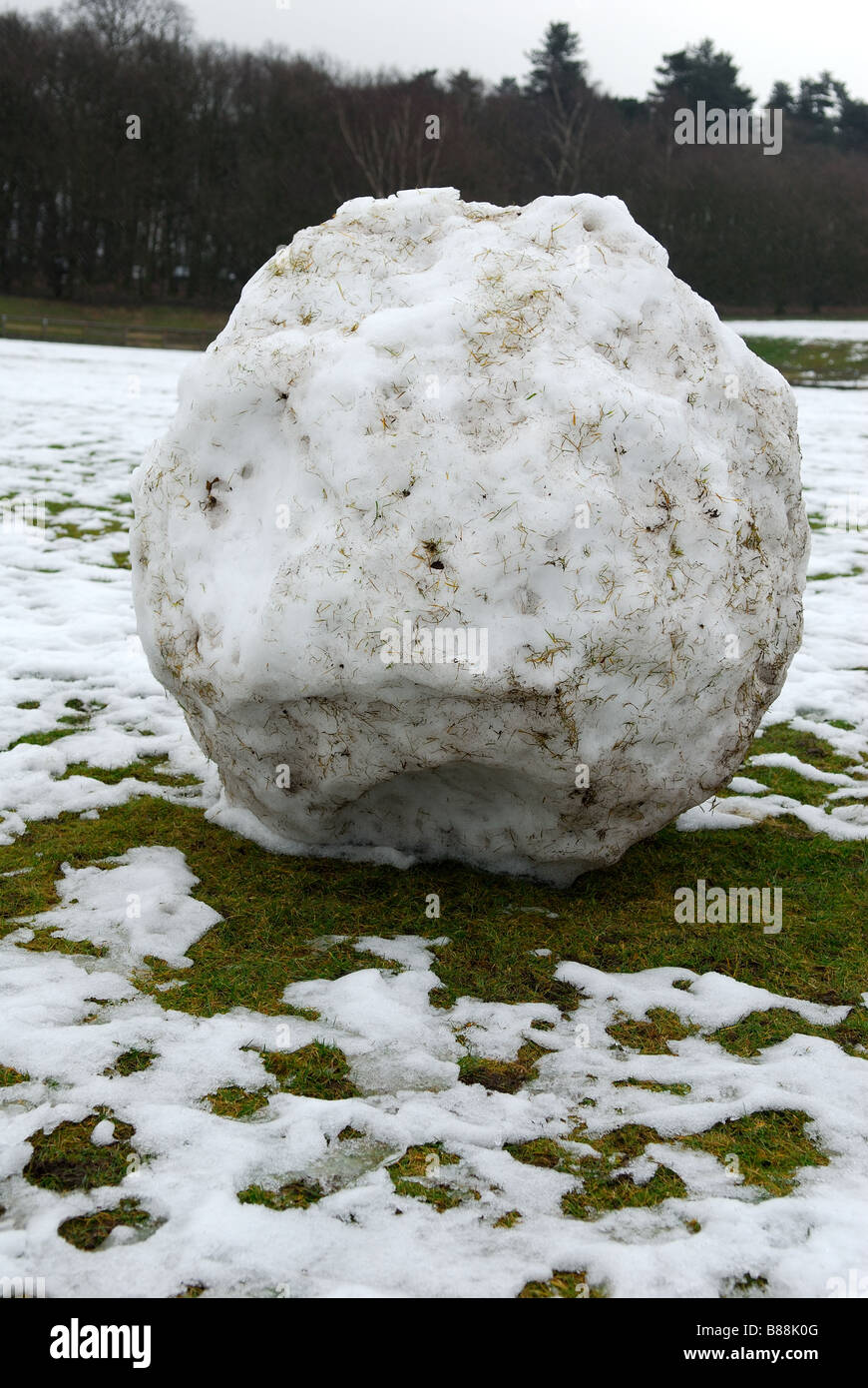 Snowball (giant Stock Photo - Alamy