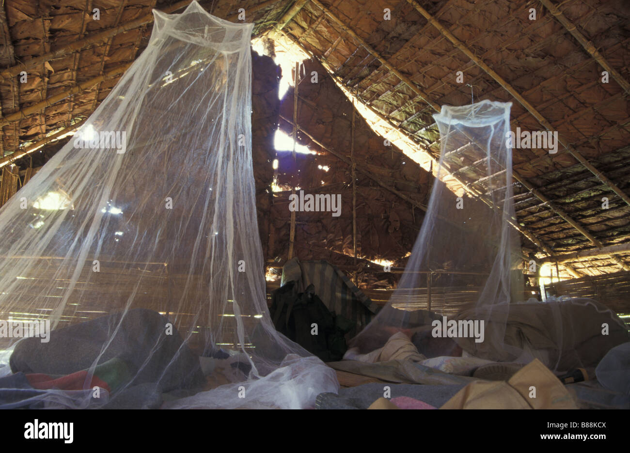 trekkers sleeping under mosquito nets in forest house near Chiang Mai ...