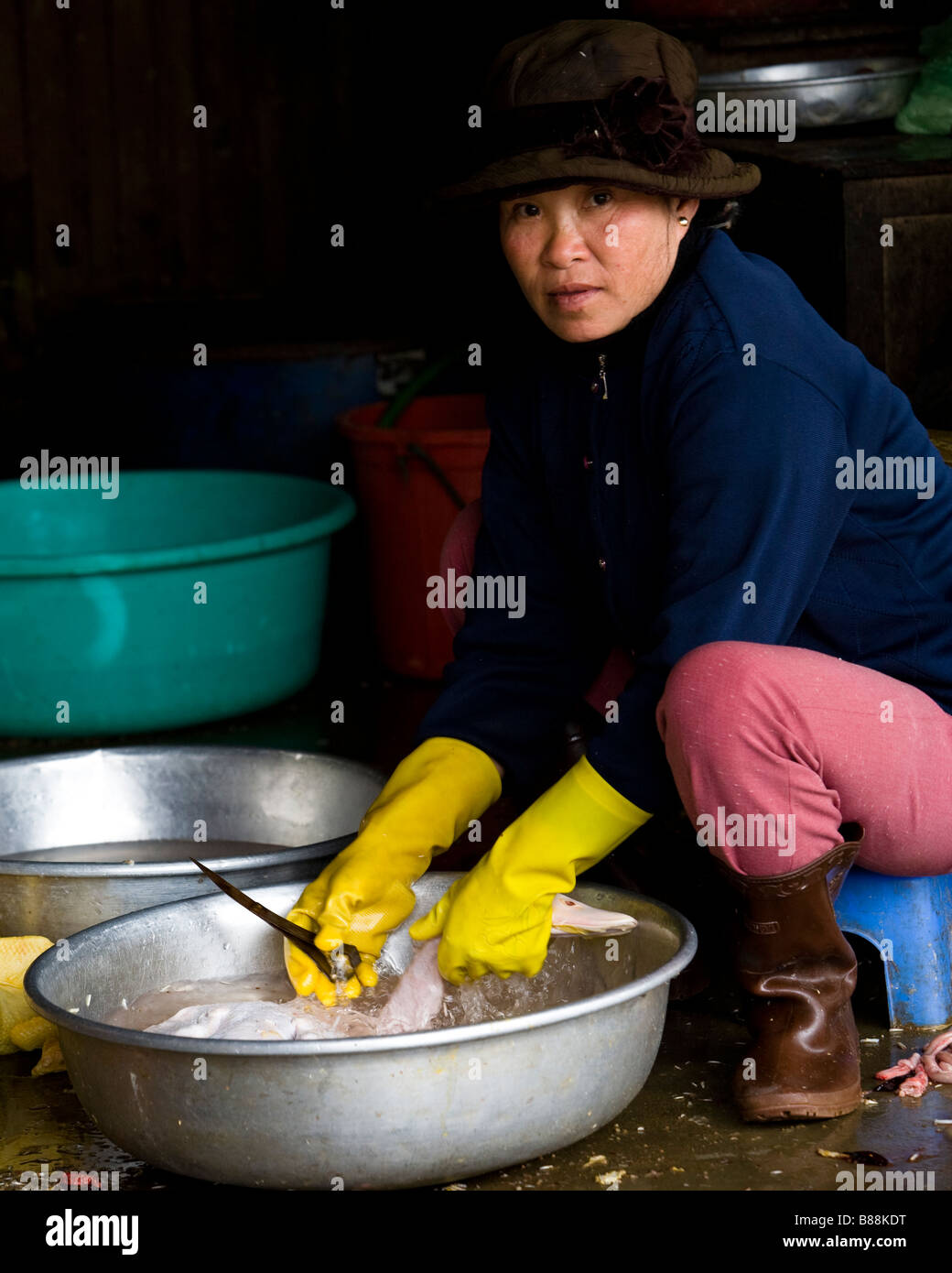 market woman prepares goose Stock Photo - Alamy