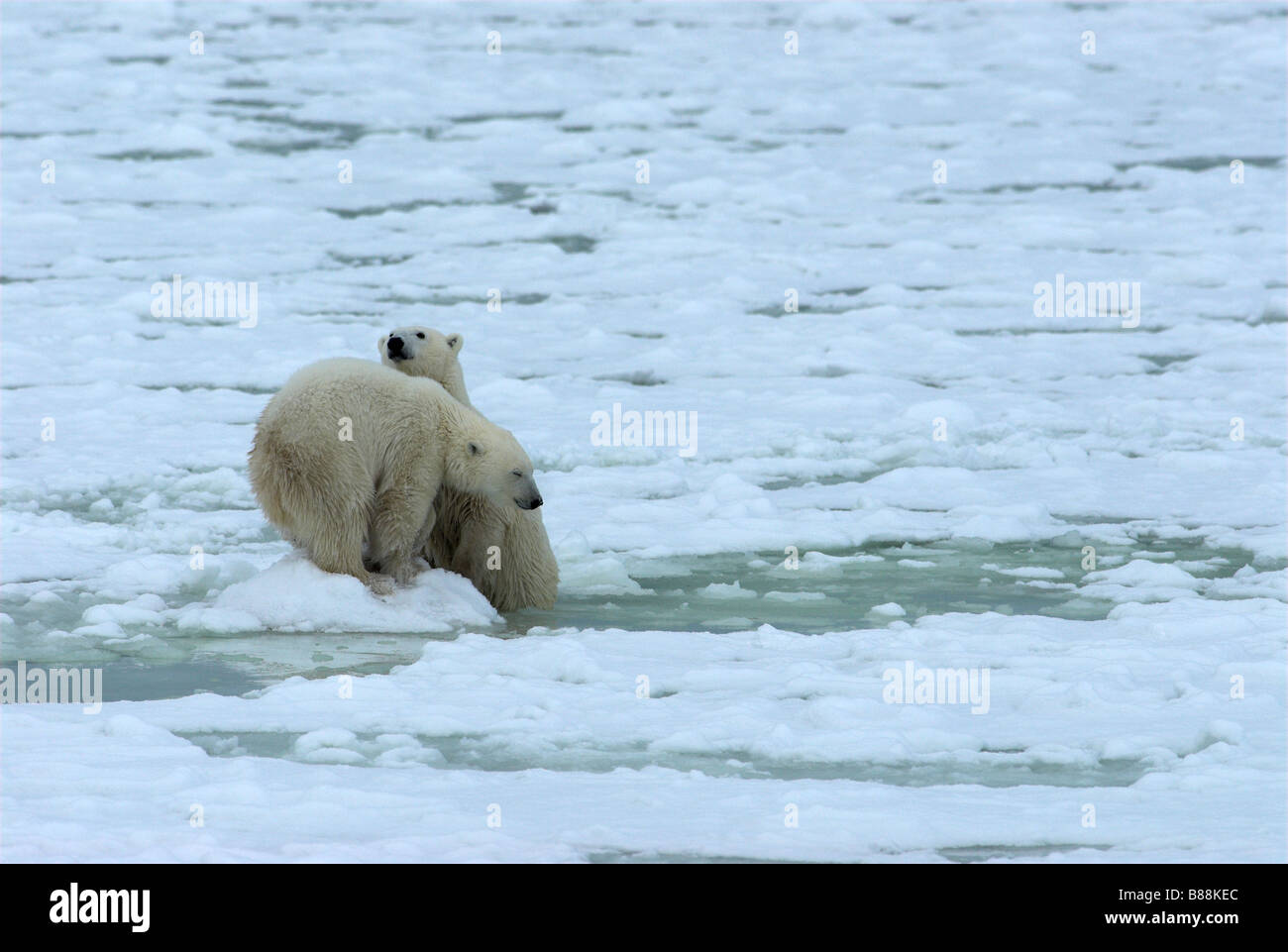 Grease ice hi-res stock photography and images - Alamy