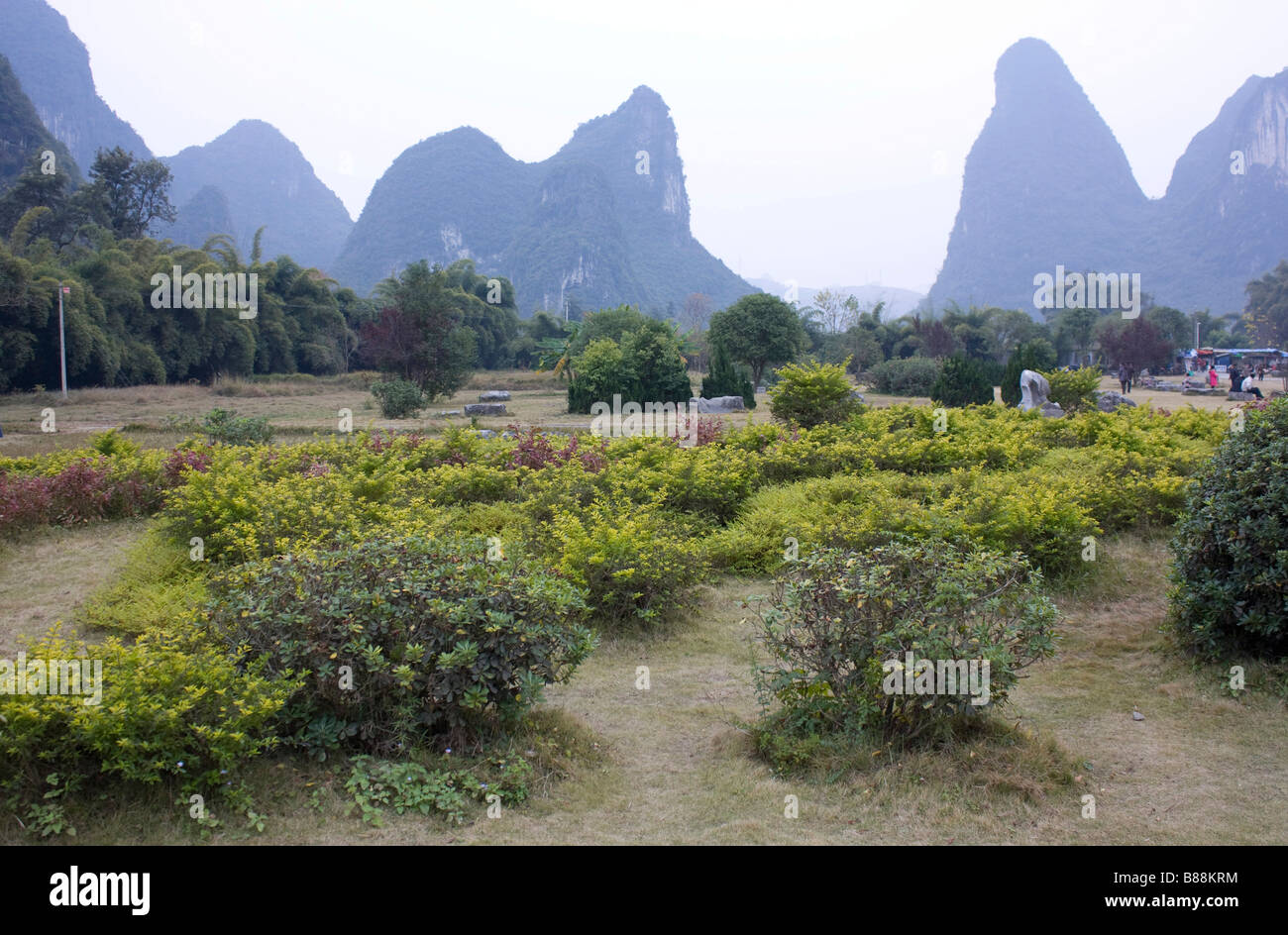 The Banyan Tree Park at Yangshuo China Stock Photo - Alamy