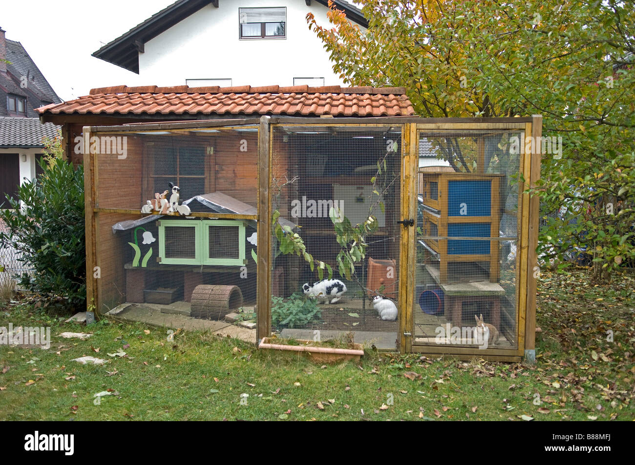 Outdoor enclosure for rabbits hi-res stock photography and images - Alamy