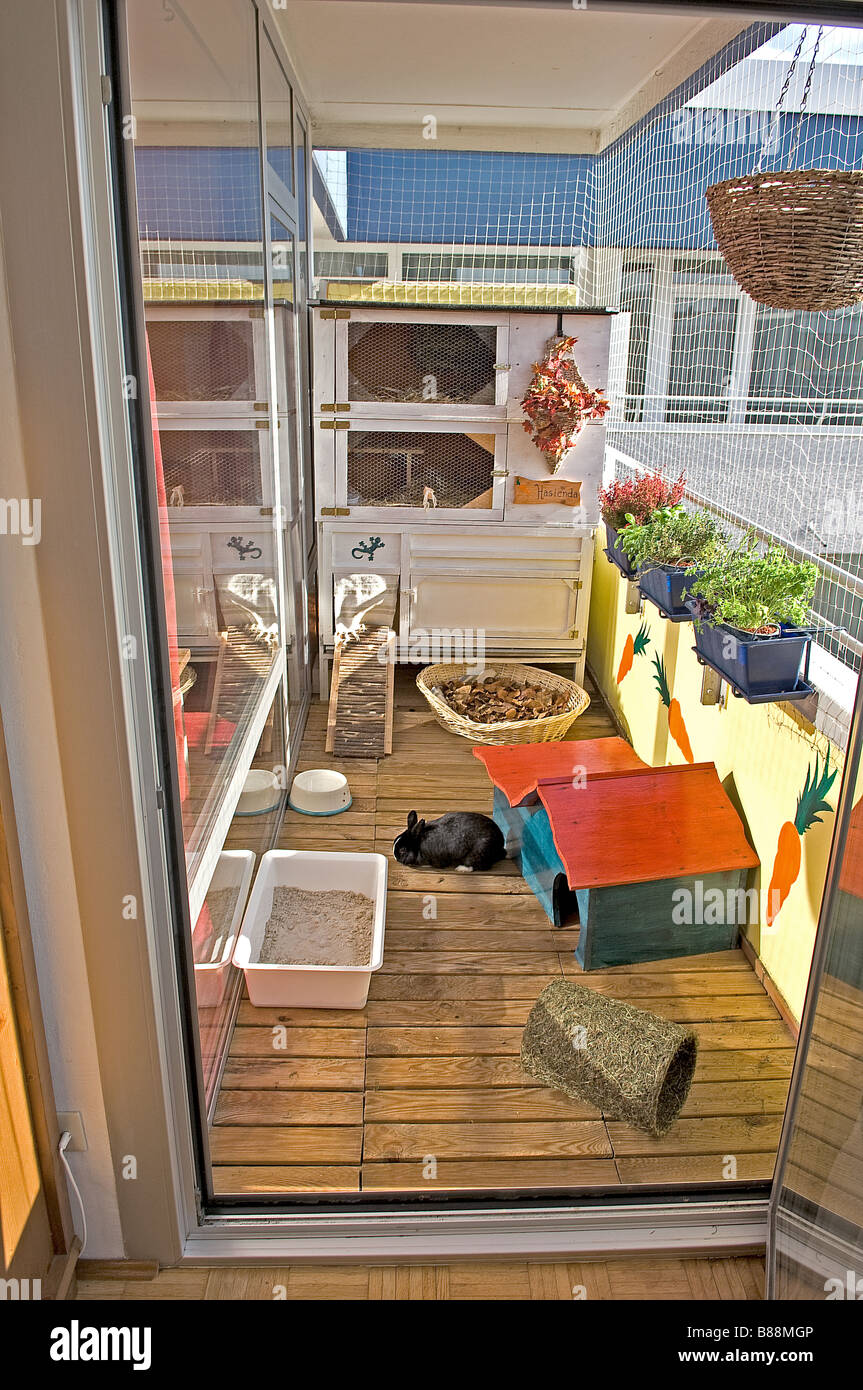 Outdoor enclosure for rabbits hi-res stock photography and images - Alamy