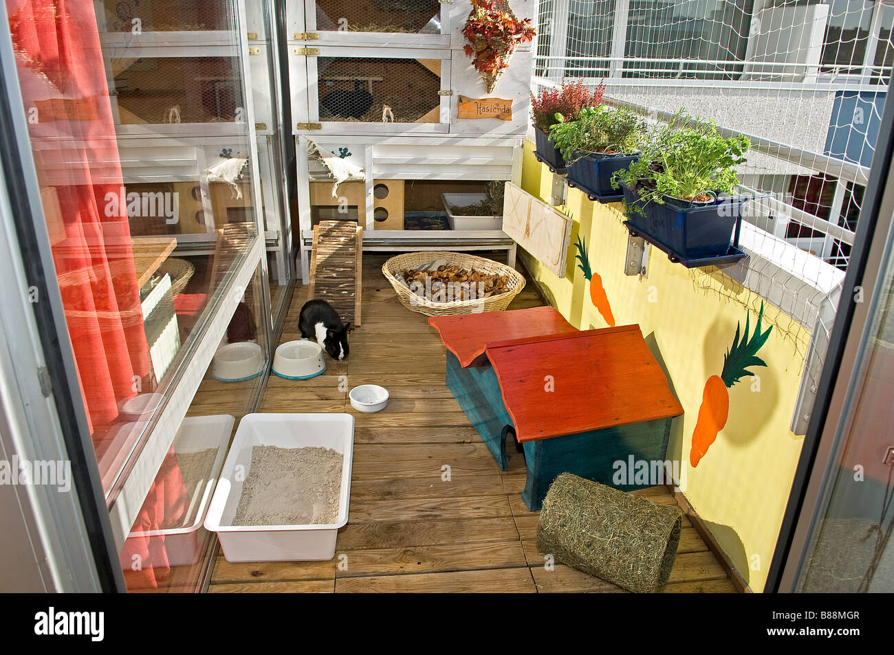 Outdoor enclosure rabbits on balcony hi-res stock photography and ...