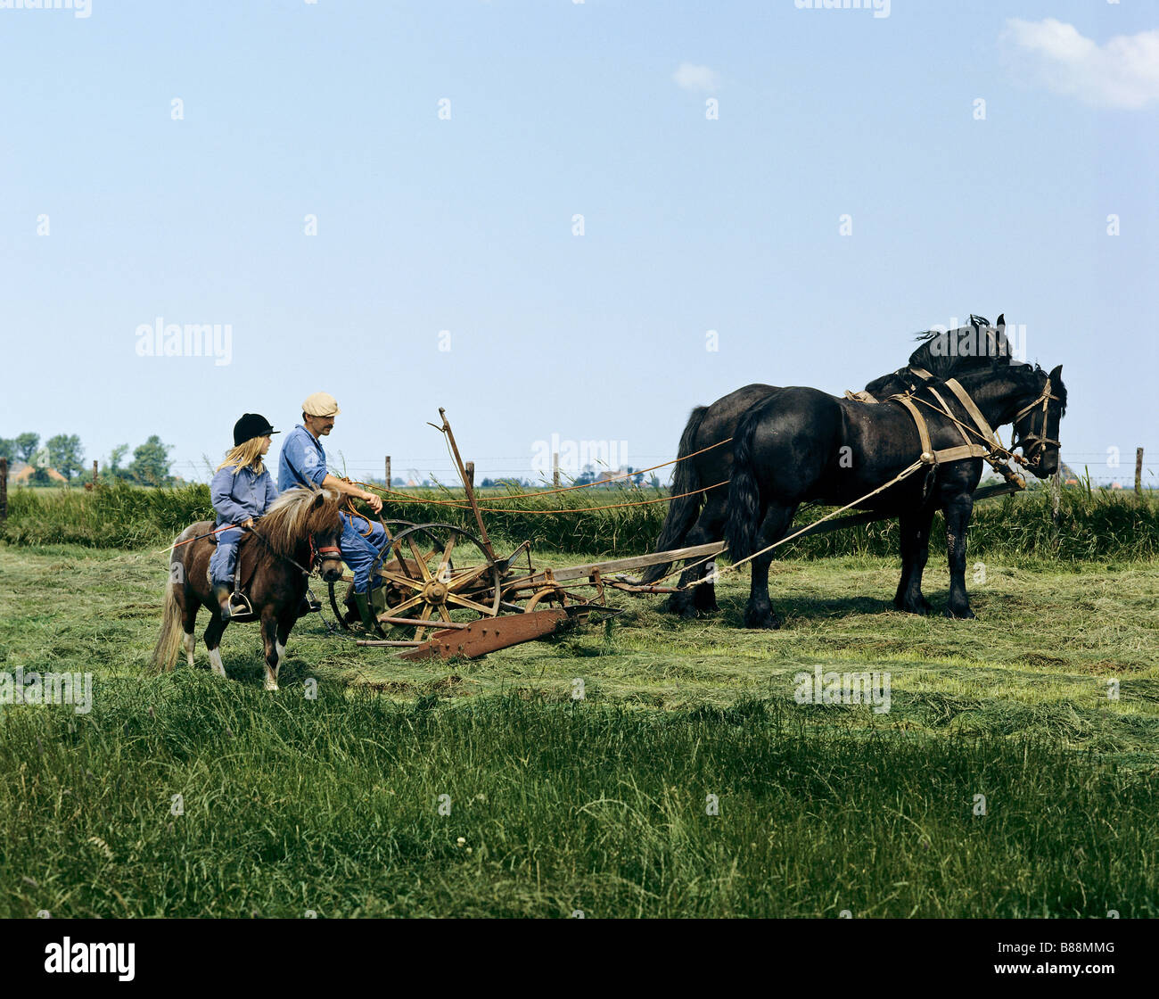 Animal fieldwork hi-res stock photography and images - Alamy
