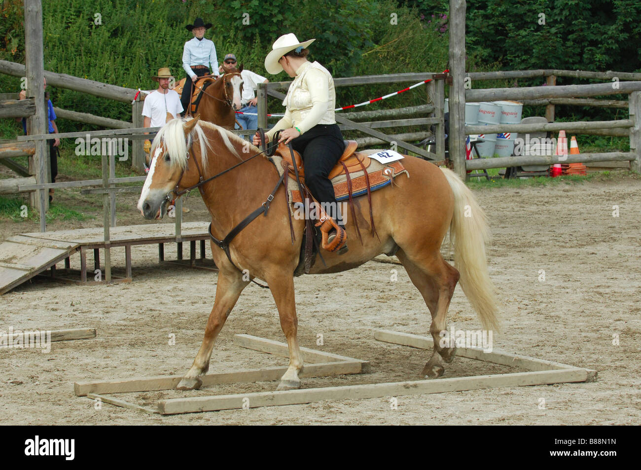 woman and Haflinger horse - western-style riding Stock Photo - Alamy