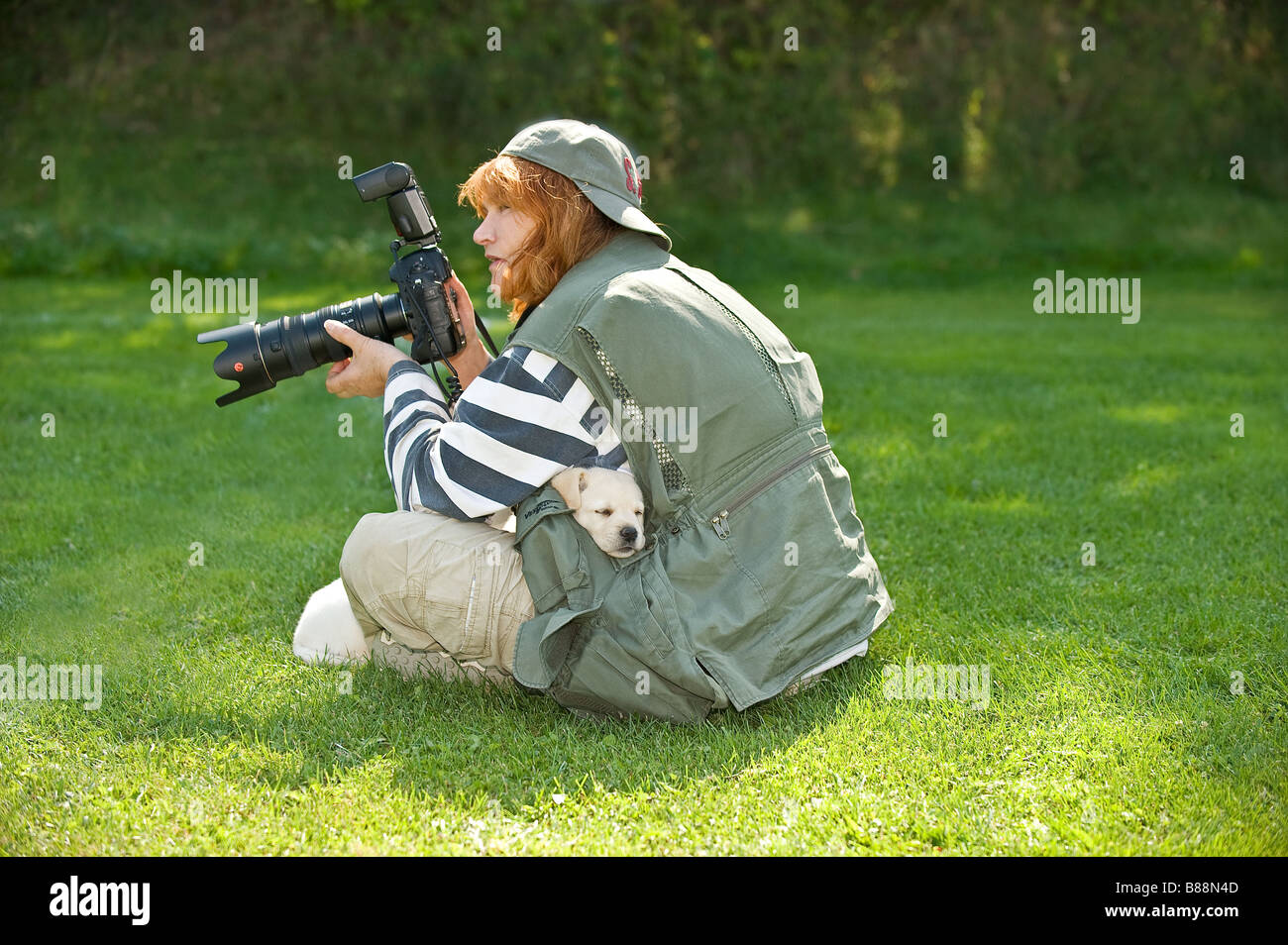 photographer and Labrador Retriever puppy Stock Photo - Alamy