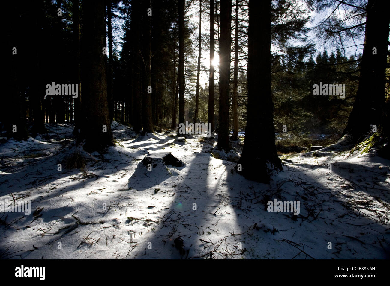 Snow Scotland 2009 High Resolution Stock Photography and Images - Alamy