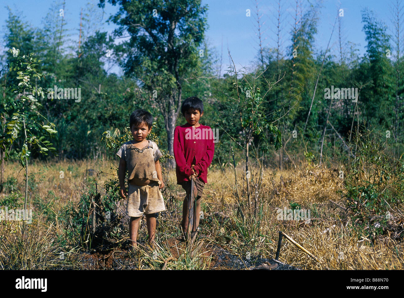 Two boys working on the land Clearing in forest for agriculture ...