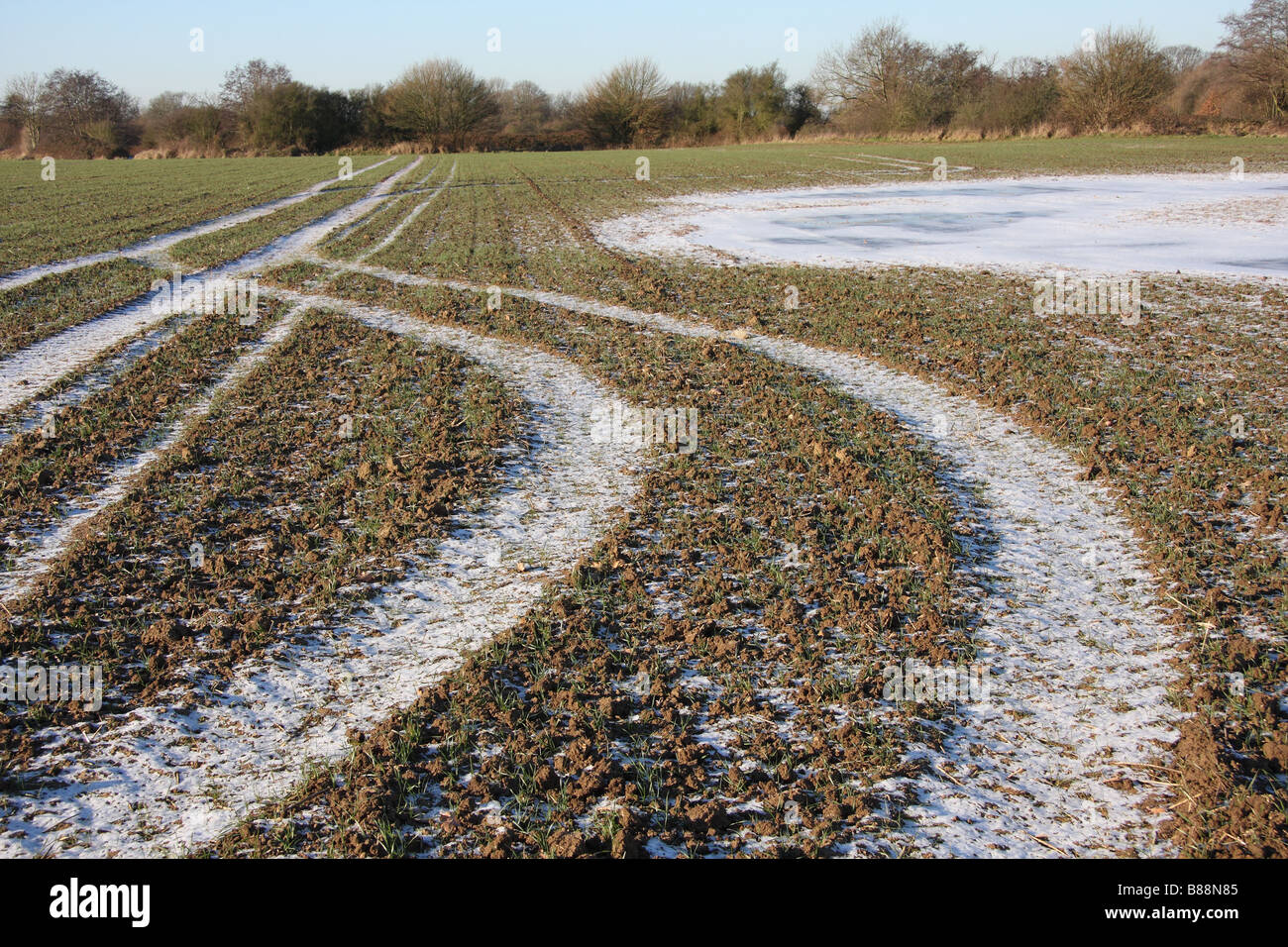 ice snow field farm crop winter scene cold pattern tractor tracks rut ...