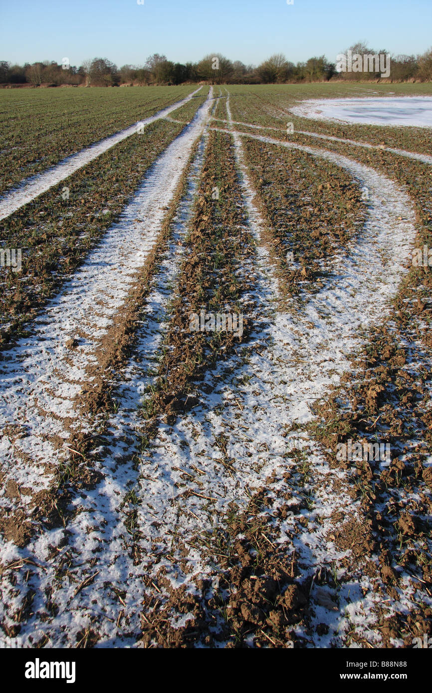 Field crop pattern hi-res stock photography and images - Alamy
