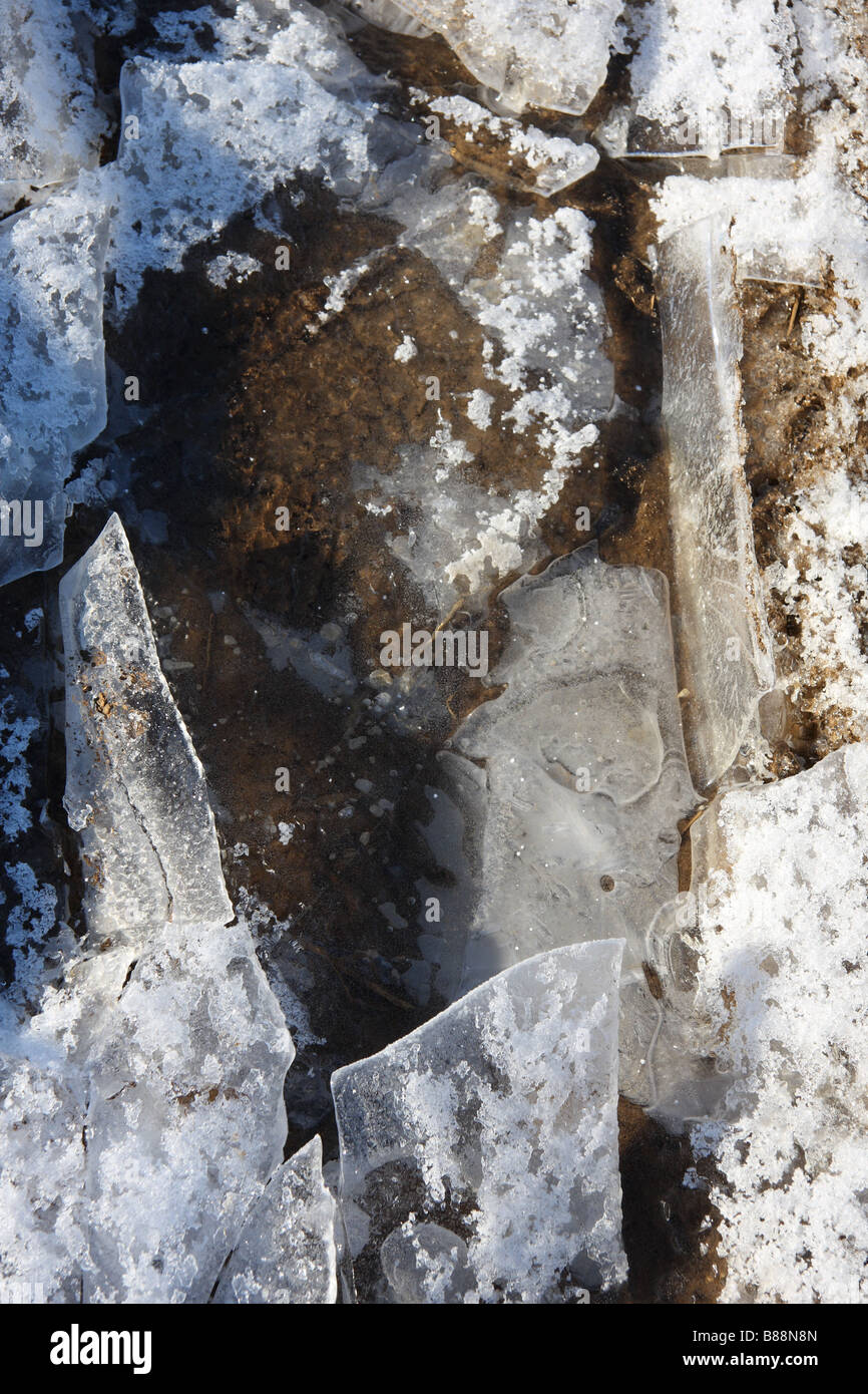 ice snow field farm crop winter scene cold pattern yalding kent uk ...