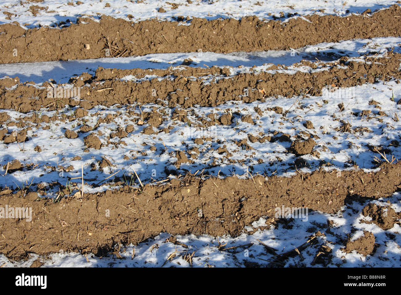 ice snow field farm crop winter scene cold pattern tractor tracks rut ...