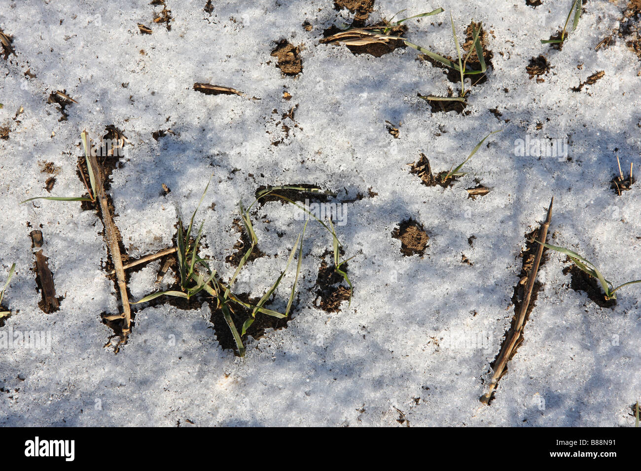 English farm scene hi-res stock photography and images - Alamy