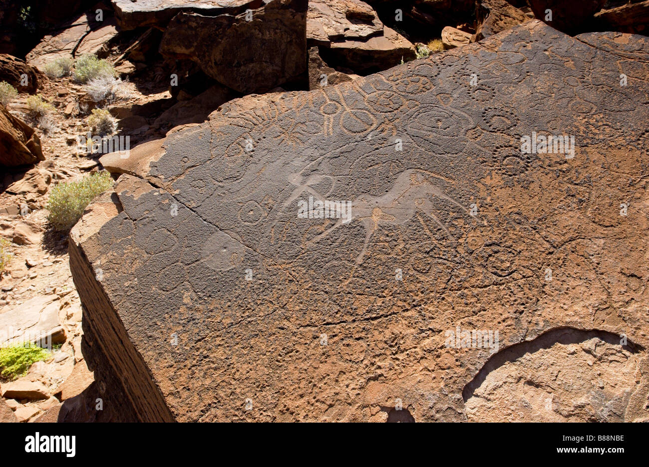 Rock engraving africa hi-res stock photography and images - Alamy