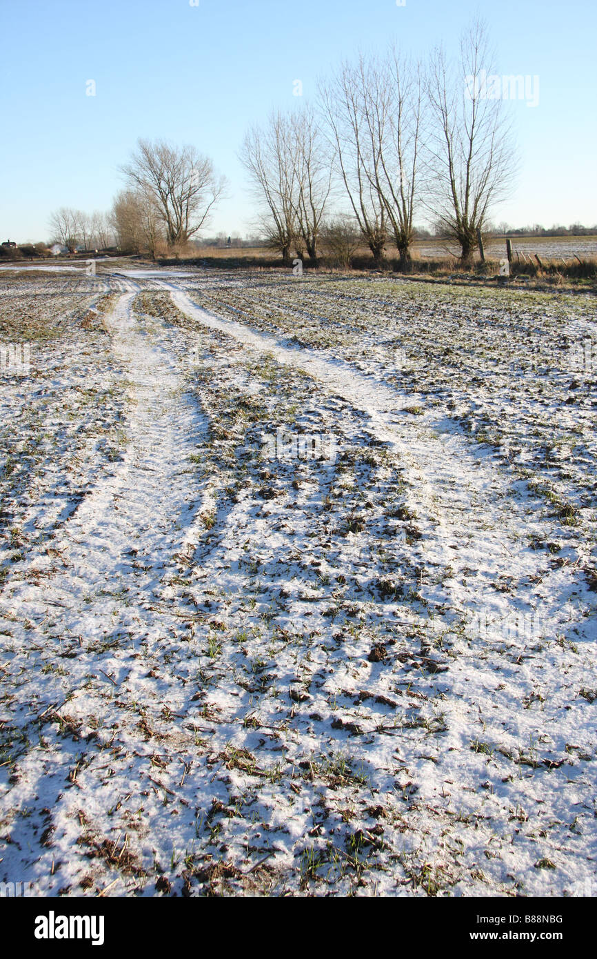 ice snow field farm crop winter scene cold pattern tractor tracks rut ...