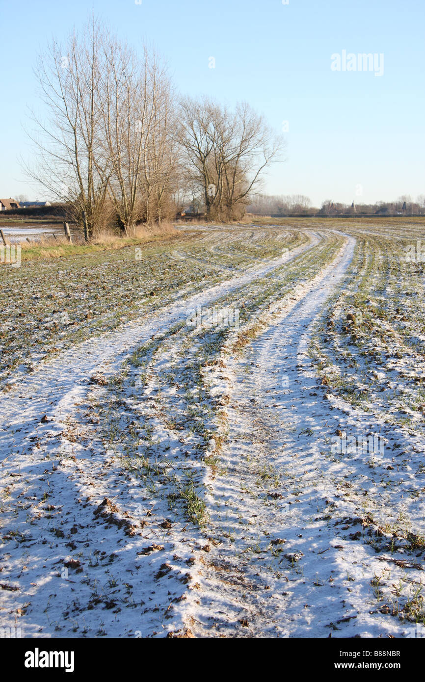 ice snow field farm crop winter scene cold pattern tractor tracks rut ...