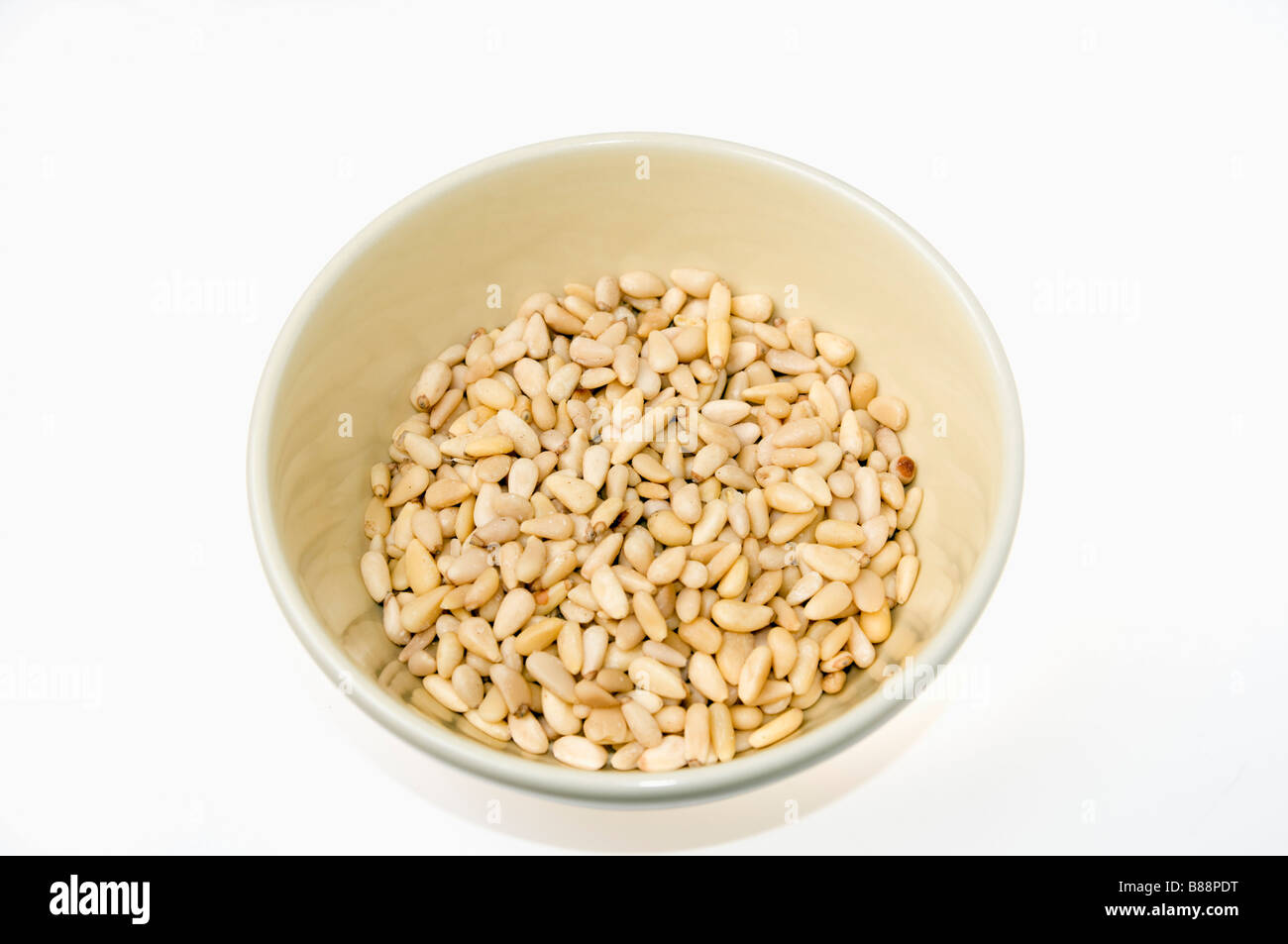 Pine nuts the edible seeds of stone pine tree Pinus pinea on white ...