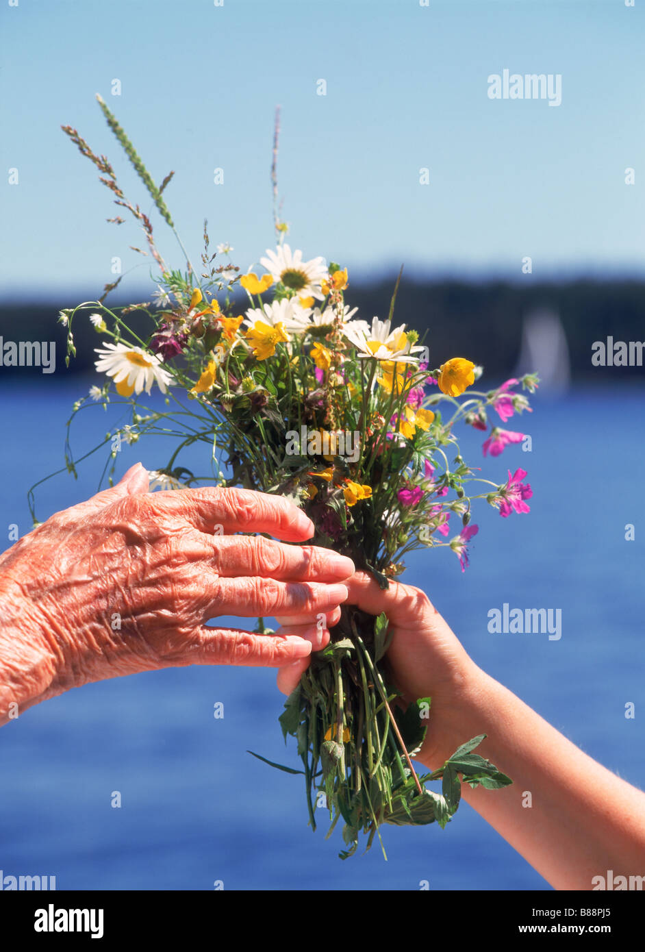 Two children offering flowers hi-res stock photography and images - Alamy