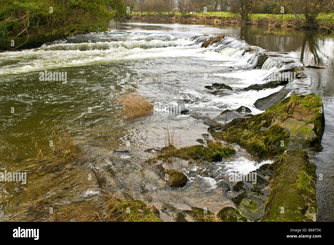 Weir on the River Teifi in Carmarthenshire Wales at Newcastle Emlyn ...