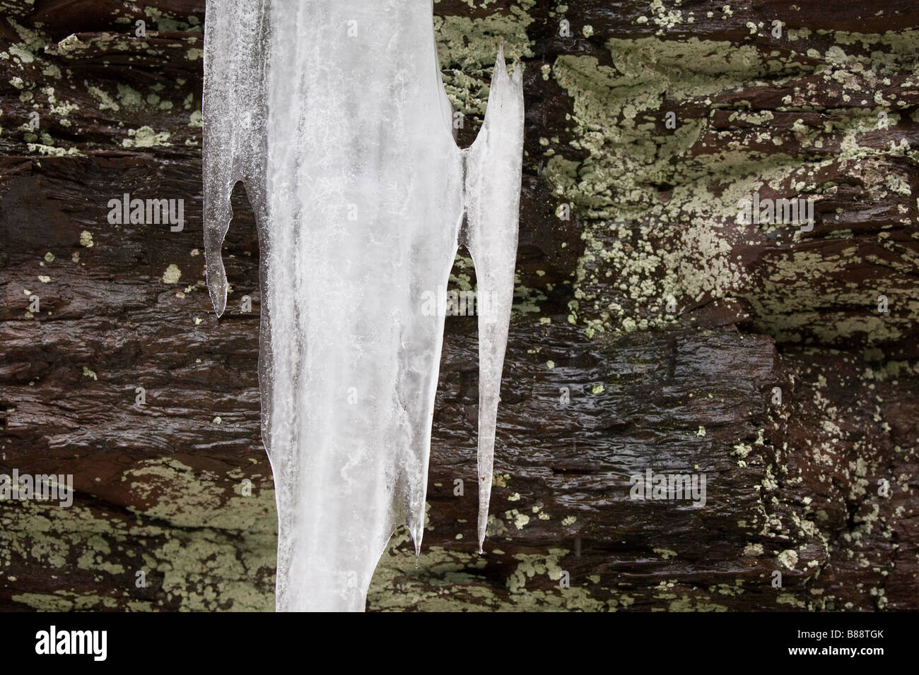 Icicle and lichen covered rock Stock Photo - Alamy