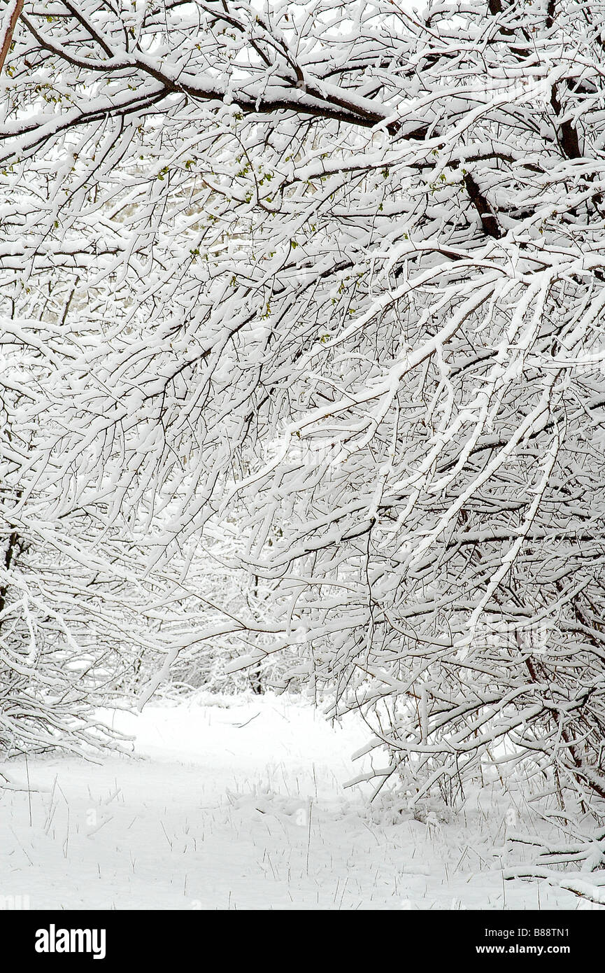 winter brings not only a cold but also beautiful landscapes Stock Photo ...