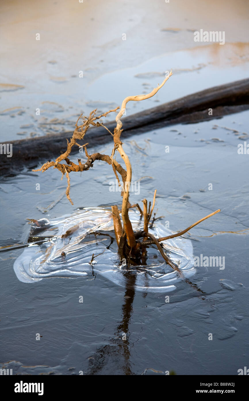 Tree roots crack hi-res stock photography and images - Alamy